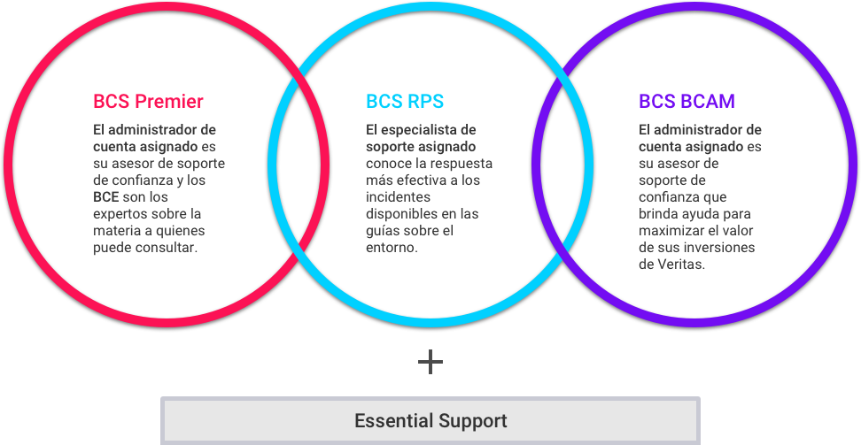 Principios básicos de soporte | Veritas™