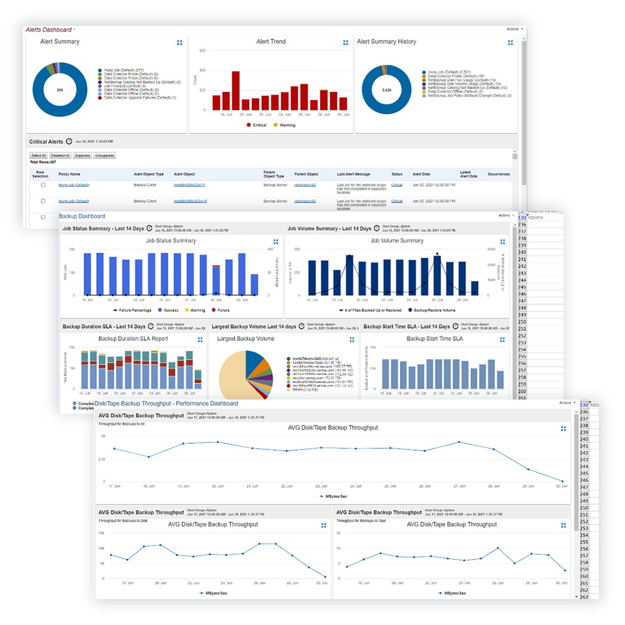 IT Analytics: Actionable unified insights across environments | Veritas